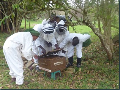 From The Heart Of Uganda: Wild African Bees - Beekeeping Workshop